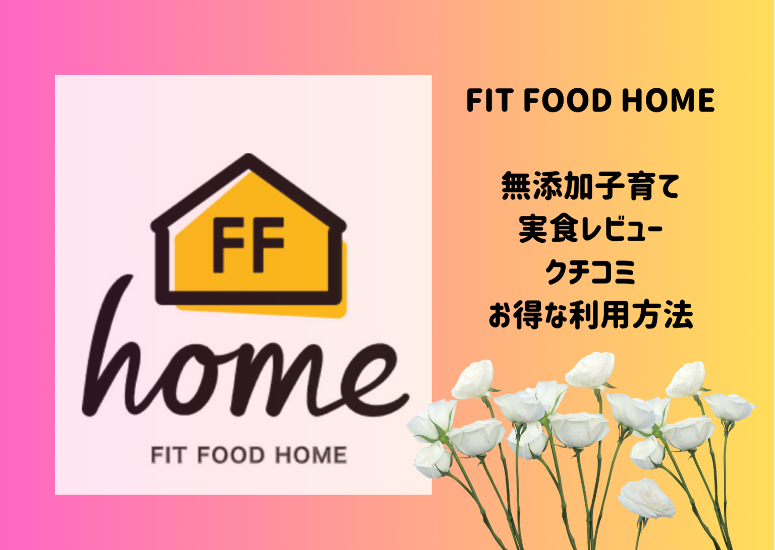 FIT FOOD HOME(フィットフードホーム）を実食/無添加で子育て/クチコミ/妊婦さんにもおすすめ